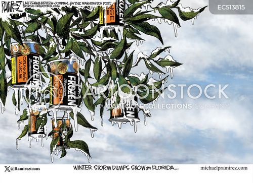 Florida Storm Cartoons and Comics - funny pictures from CartoonStock