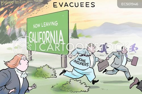 State Insurance Cartoons and Comics - funny pictures from CartoonStock