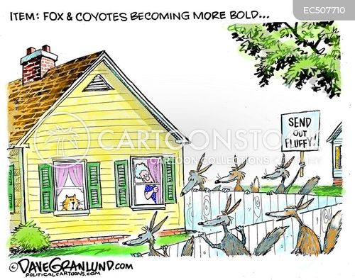 Urban Fox Cartoons and Comics - funny pictures from CartoonStock