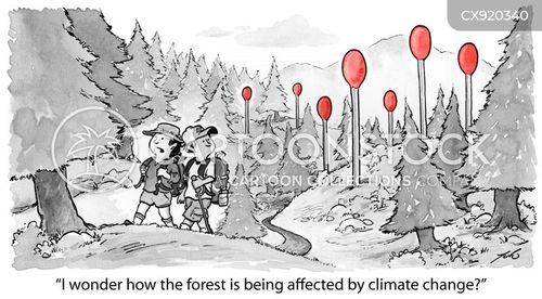 Forest Health Cartoons and Comics - funny pictures from CartoonStock