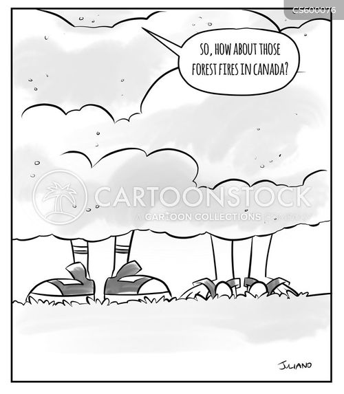 Forest Cartoons and Comics - funny pictures from CartoonStock