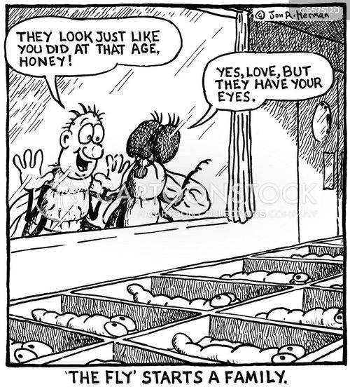 The Fly Cartoons and Comics - funny pictures from CartoonStock