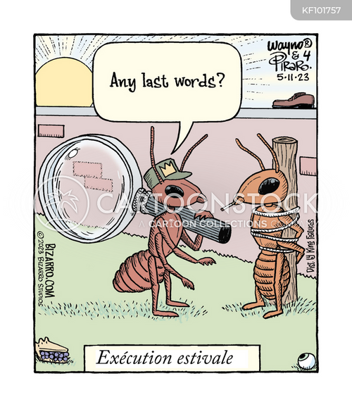 Dessins humoristique et caricaturés avec Anatomie Des Insectes