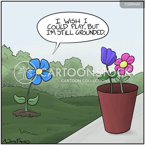 Plant-pot Cartoons and Comics - funny pictures from CartoonStock