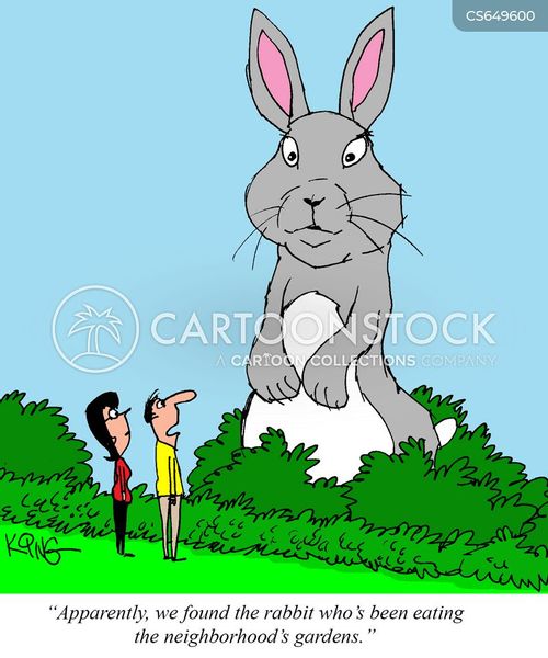 Rabbit Cartoons and Comics - funny pictures from CartoonStock