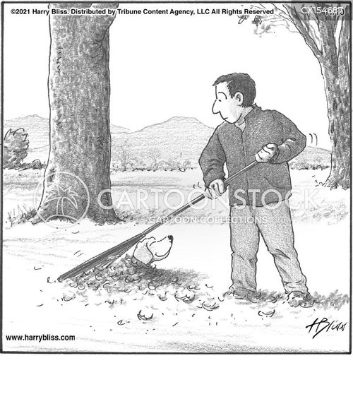 Duality Cartoons and Comics - funny pictures from CartoonStock