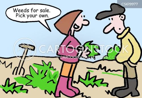 Weed Cartoons and Comics - funny pictures from CartoonStock