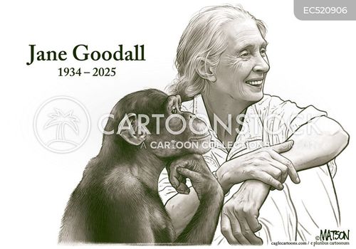 Jane Goodall Legacy Cartoons and Comics - funny pictures from CartoonStock
