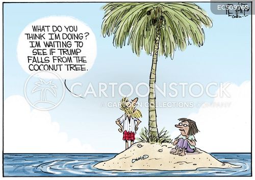 Falling Coconut Cartoons and Comics - funny pictures from CartoonStock
