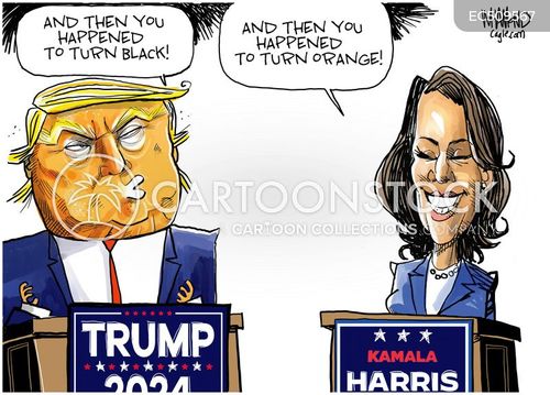 Questioning Black Identity Cartoons and Comics - funny pictures from ...