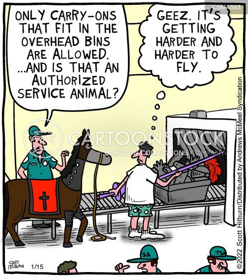 Animal Armor Cartoons and Comics - funny pictures from CartoonStock