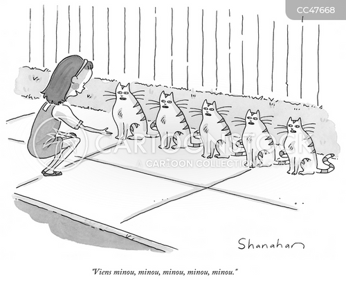 Dessins humoristique et caricaturés avec Chat Errant