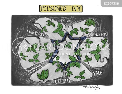 Ivy League Culture Cartoons and Comics - funny pictures from CartoonStock