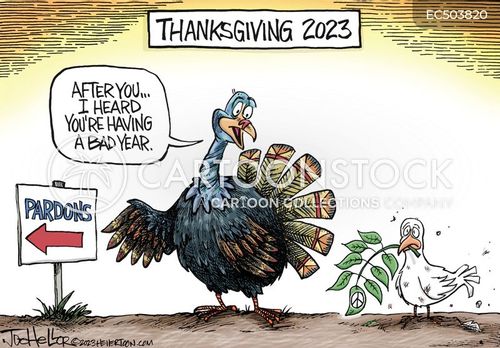 Turkey Cartoon Controversy