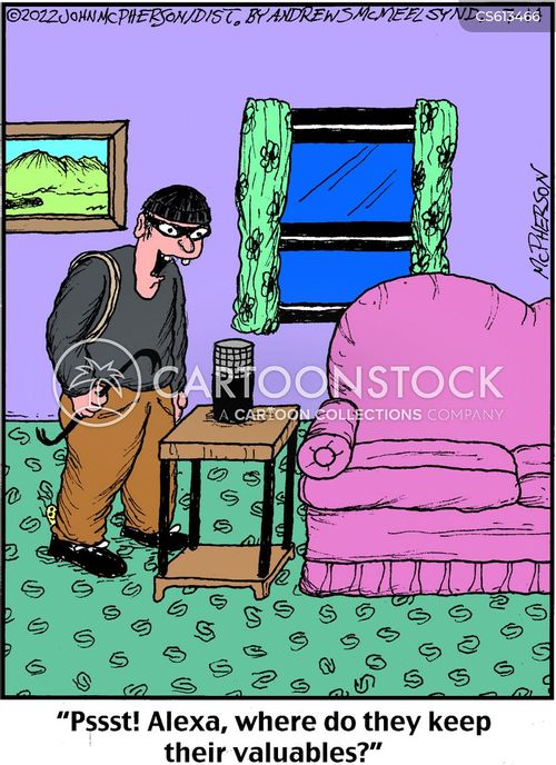 Digital Vulnerability Cartoons and Comics - funny pictures from ...