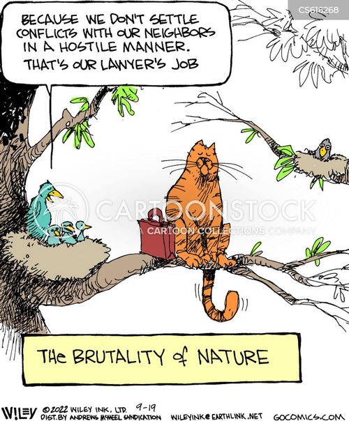 Feline Dispute Resolution Cartoons and Comics - funny pictures from ...
