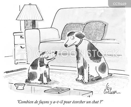 Dessins humoristique et caricaturés avec Expressions