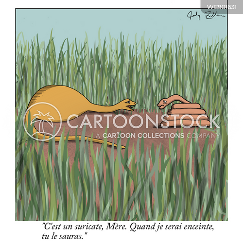 Dessins humoristique et caricaturés avec Colonie De Suricates