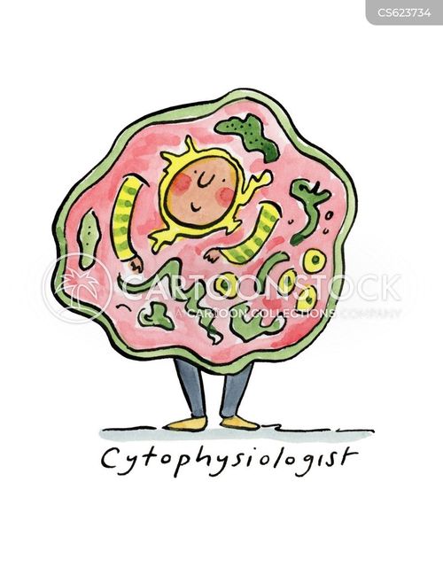 Human Cell Cartoons and Comics - funny pictures from CartoonStock