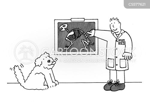 Xray Cartoons and Comics - funny pictures from CartoonStock