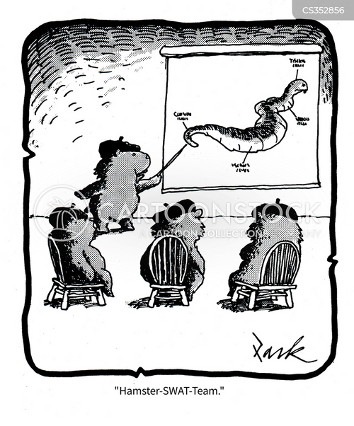 Cartoons und Karikaturen mit Swat-razzien