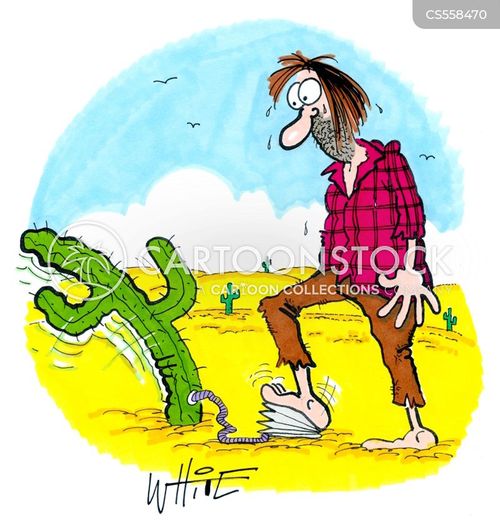 Cactus Plant Cartoons and Comics - funny pictures from CartoonStock