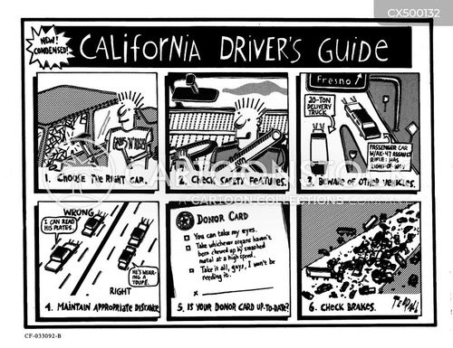 Driver's License Cartoons and Comics - funny pictures from CartoonStock