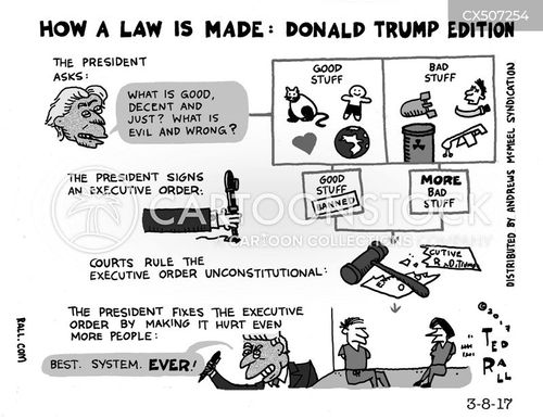 Lawmaking Cartoons and Comics - funny pictures from CartoonStock