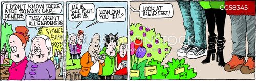 Shoe Tree Cartoons and Comics - funny pictures from CartoonStock