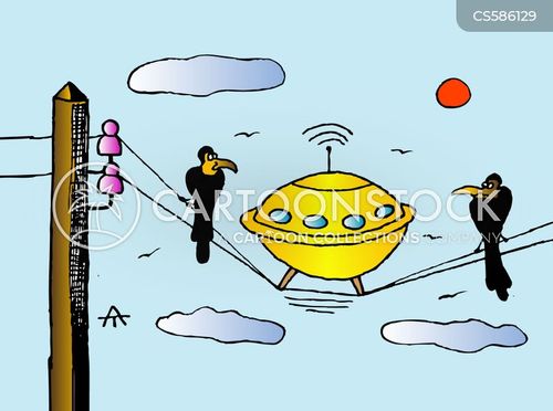 Telegraph Wires Cartoons and Comics - funny pictures from CartoonStock