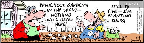 Garden Plants Cartoons and Comics - funny pictures from CartoonStock