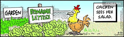 Rumen Cartoons and Comics - funny pictures from CartoonStock