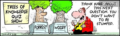 Forrest Cartoons and Comics - funny pictures from CartoonStock