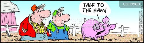 Pig Conversation Cartoons and Comics - funny pictures from CartoonStock