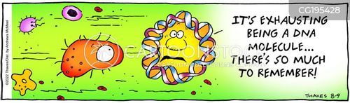 Y Chromosome Cartoons and Comics - funny pictures from CartoonStock