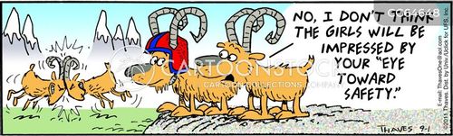 Horn Protection Cartoons and Comics - funny pictures from CartoonStock