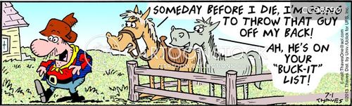 Bucking Horse Cartoons and Comics - funny pictures from CartoonStock