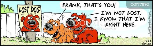 Lost Location Cartoons and Comics - funny pictures from CartoonStock