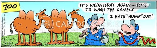 Camel's Cartoons and Comics - funny pictures from CartoonStock
