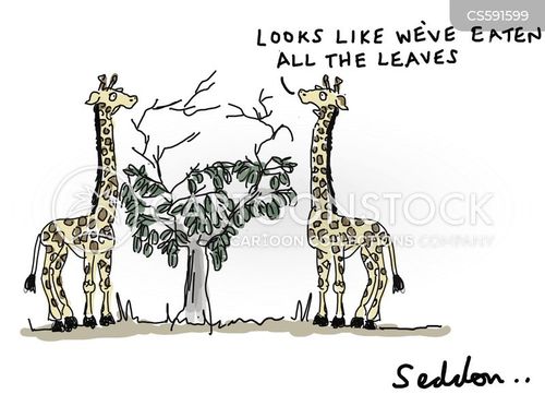 Drunk Giraffe Frank
