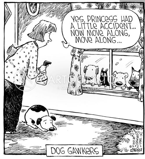 Accident Survivors Cartoons and Comics - funny pictures from CartoonStock