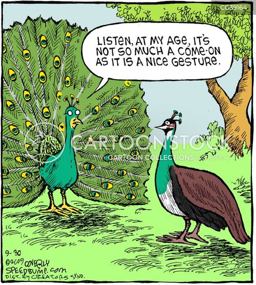 Status-seeking Cartoons and Comics - funny pictures from CartoonStock