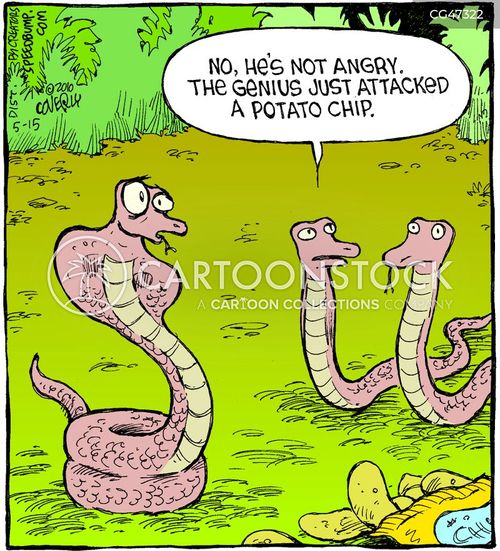 Angry Comeback Cartoons and Comics - funny pictures from CartoonStock