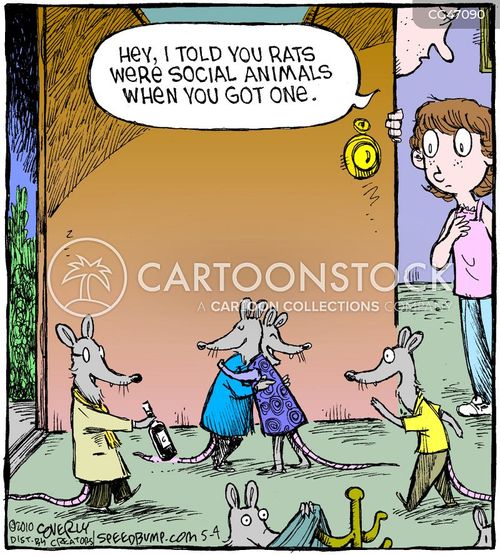 Pet Rat Cartoons and Comics - funny pictures from CartoonStock