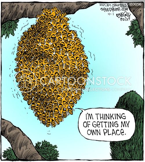 Insect Communities Cartoons and Comics - funny pictures from CartoonStock