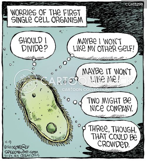 One-cell Life Cartoons and Comics - funny pictures from CartoonStock