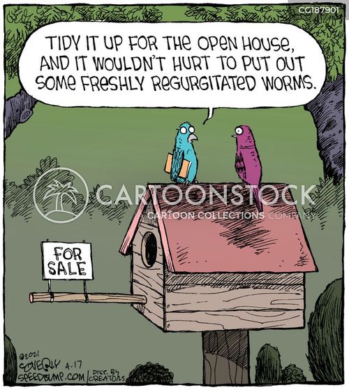 Bird Fights Cartoons and Comics - funny pictures from CartoonStock