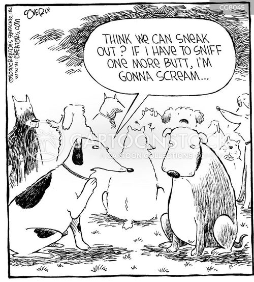 Sniff Butt Cartoons and Comics - funny pictures from CartoonStock