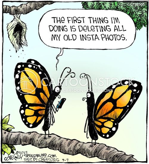 Photo Removal Cartoons and Comics - funny pictures from CartoonStock