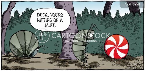 Roly-poly Cartoons and Comics - funny pictures from CartoonStock